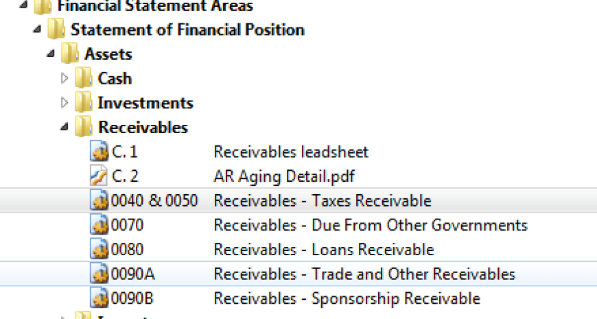 CaseWare Feature Spotlight: Document Management